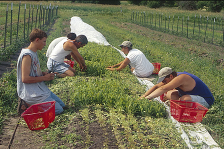 Rebuild a Farm Lesson from John Peterson